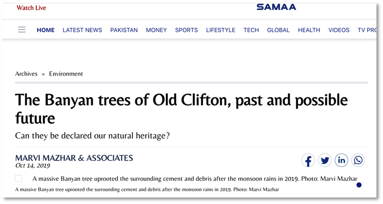 The Banyan Tree Project — A ‘Green’-Heritage Preservation Project - A ...